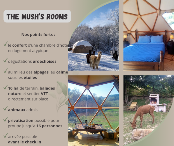 Dôme "Pirate", Alpagas Et Vue Sur Les éToiles - Lamastre