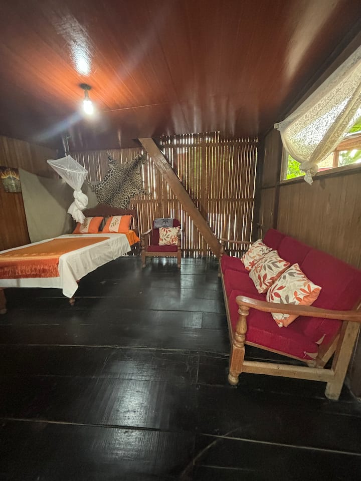 City Jungle House - Tarapoto