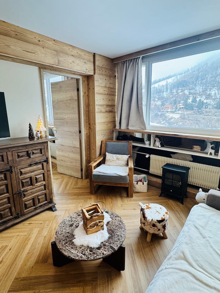 Appartement  - Ski Au Pied - 45m² - Aiguille - 6p - Allos