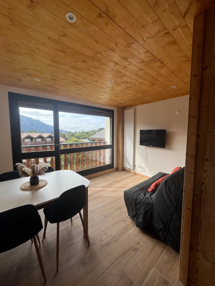 Appartement Au Centre Des Carroz - Flaine