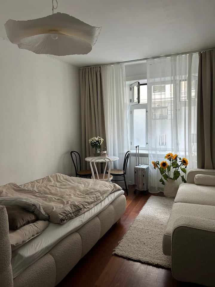 Centrally Located Esthetic Flat - Copenhagen