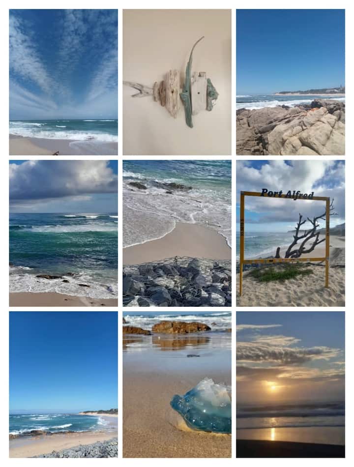 Driftwood - Port Alfred