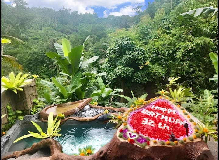 Ubud Country Side Jungle View Vng - Bali