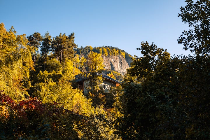 Een Oase Van Licht En Groen. Le Sapin Du Renard - Les Karellis