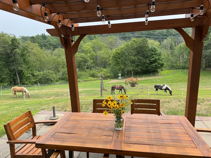 Sunny Horse Farm Studio With Pasture Views - Hampstead, NH