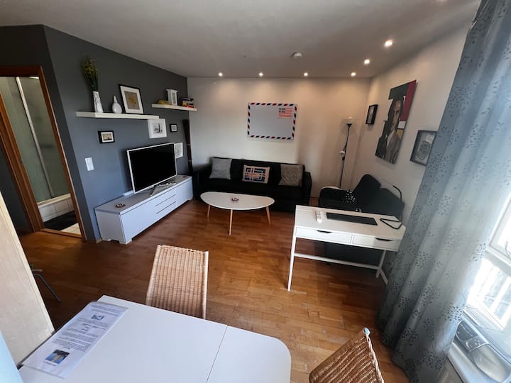 Peaceful Downtown Apt. -Parking Garage Jan26 Offer - Reykjavik