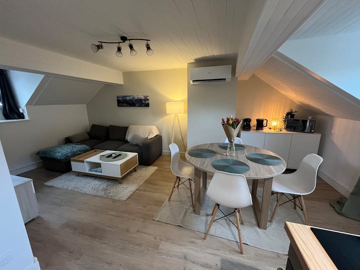 Charmant 2 Pièces Tout éQuipé Pl. Bichat Climatisé - Jura