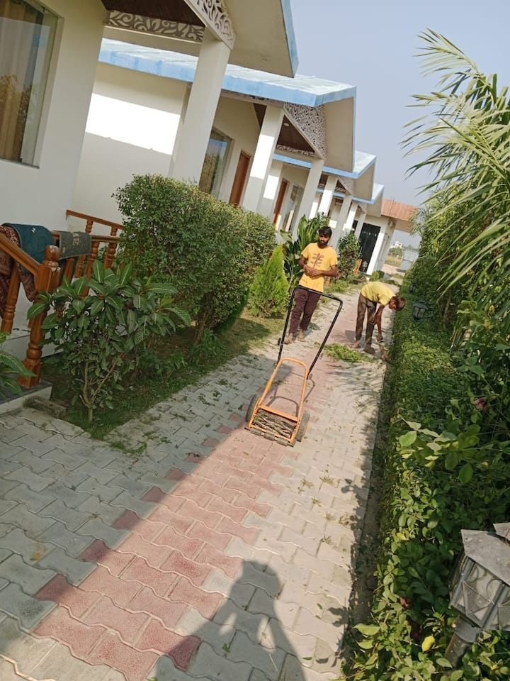 Beautiful 6 Room Available - Jim Corbett National Park