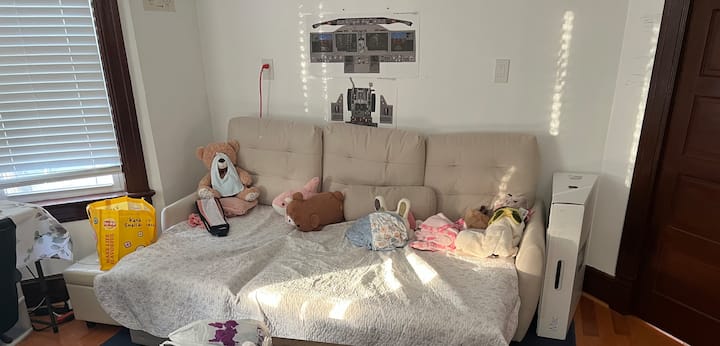 Guest Room With A Nice Sofa Bed - Middletown, NY