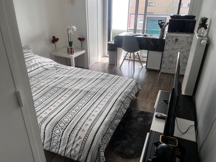 Charmant, Petit Studio Avec Terrasse - Saint-Grégoire