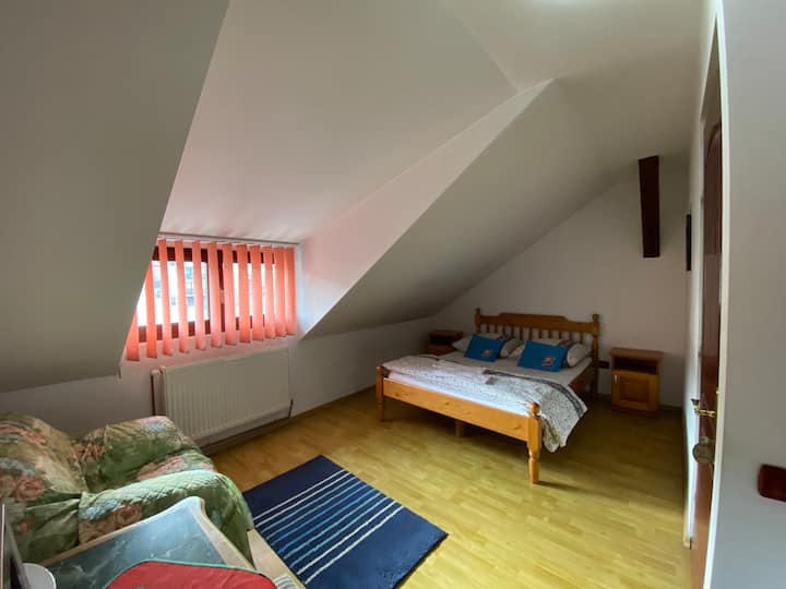 Villa Jianu - R 7 - Vatra Dornei