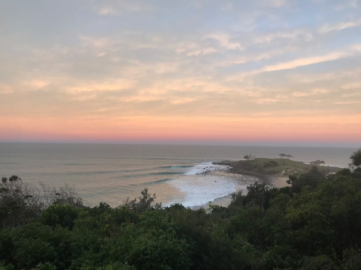 Little Banksia - Yamba