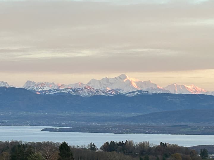 Comfort With View On Lake Geneva And Mont Blanc - Nyon
