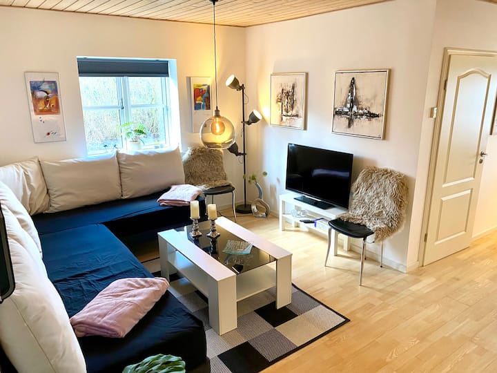 Wahls Boulevard Airbnb - Odense