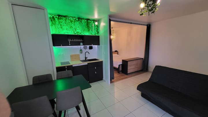 Appartement Groupama Stadium/eurexpo/ Ldlc - Meyzieu