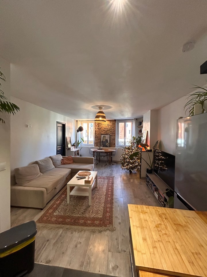 Appartement St Martin Du Touch + Stationnement - Toulouse