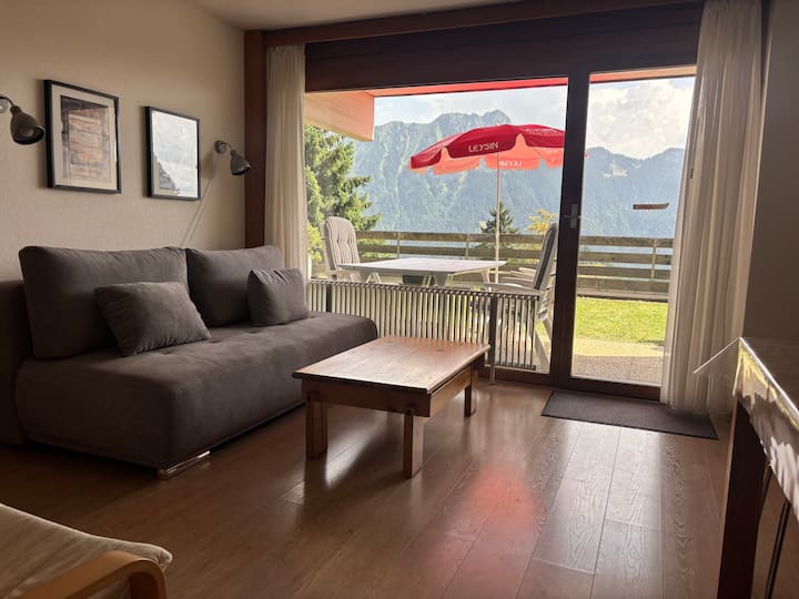 Modern Appartement Met Heerlijke Tuin En Uitzicht - Leysin