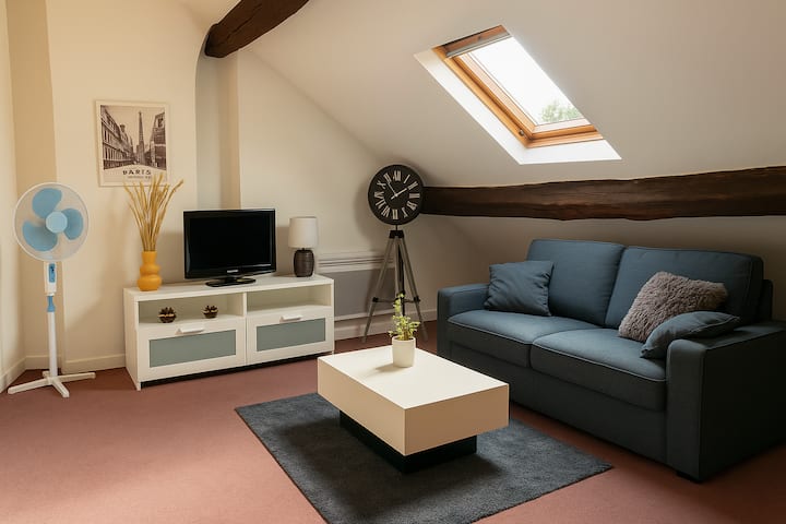 Appartement T3 Centre Meaux Vue Cathédrale - Meaux