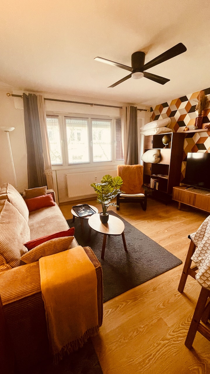 Bel Appart Parking Privé Ascenseur Centre Ville - Colmar