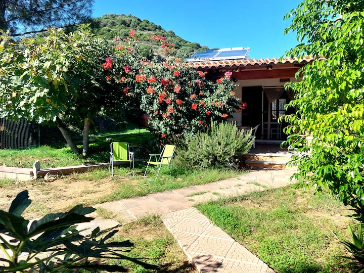 Casa Aurora 800mt Dal Mare, Wifi, Bbq - Tertenia