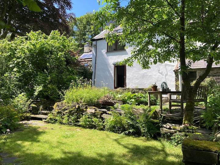 Mountain Cottage Dinorwig Quarry - Bethesda