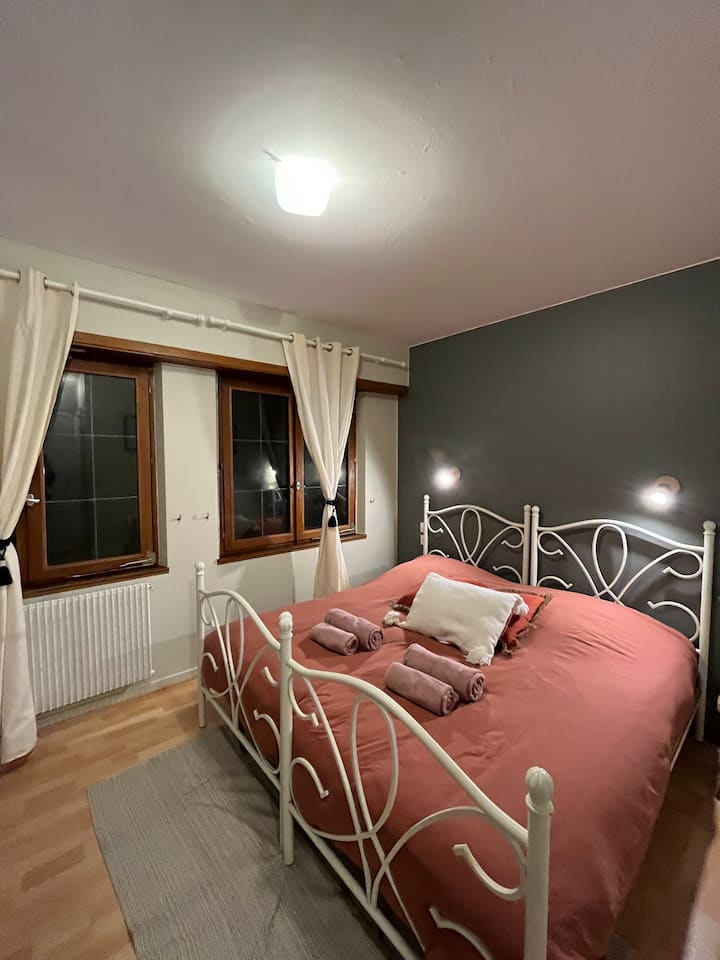Chambre Du Vignoble ! - Dambach-la-ville