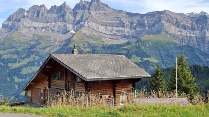 Chalet Sur La Crête - Avoriaz