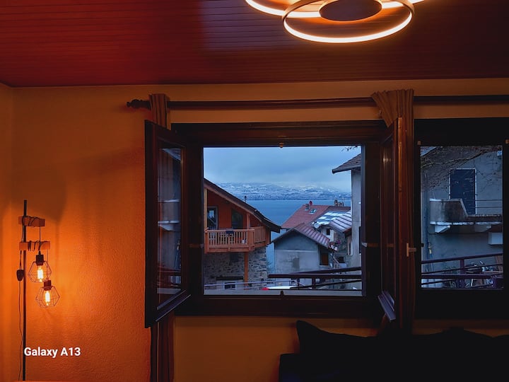 Le Regard Sur Le Lac - Lake Geneva