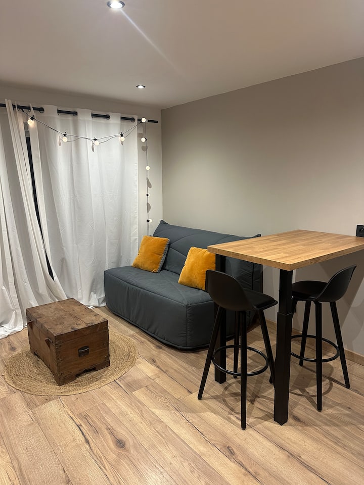 Superbe Studio Indépendant - Menthon-Saint-Bernard