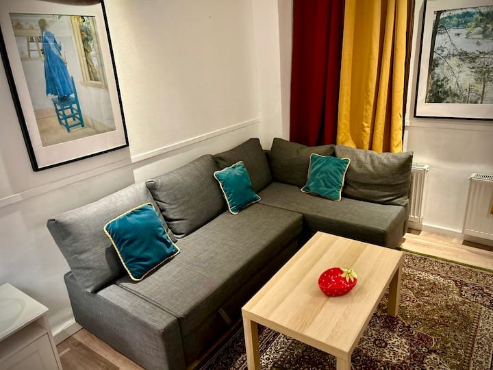 Cosy Super Central Flat In Brussels Heart - Brussels Zaventem Airport (BRU)
