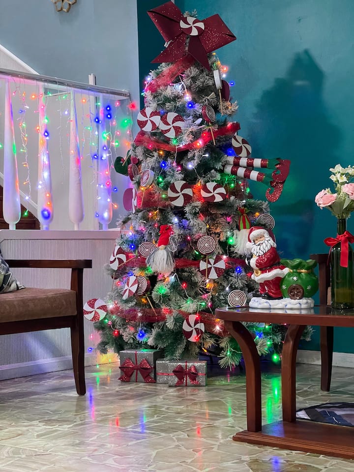 Alojamiento Centro Histórico De Cuenca - Cuenca