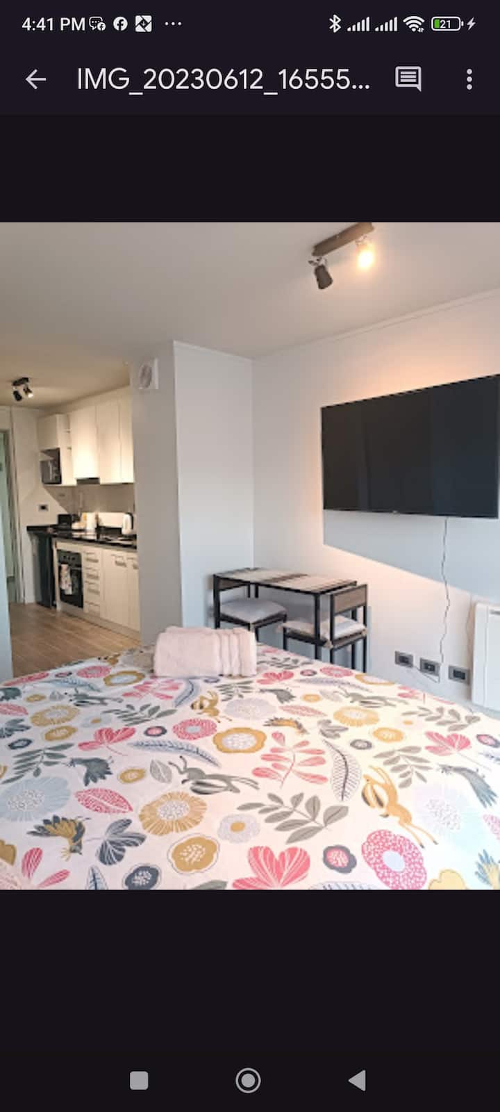 Estudio Isla Teja Valdivia - Valdivia