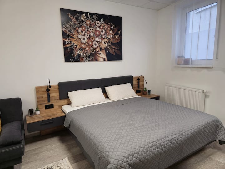 Apartment No9 Komfortable Unterkunft Auf Zeit - Landstuhl