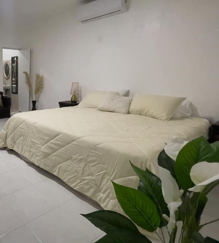 Cómoda Suite, Bien Ubicada. - Chetumal