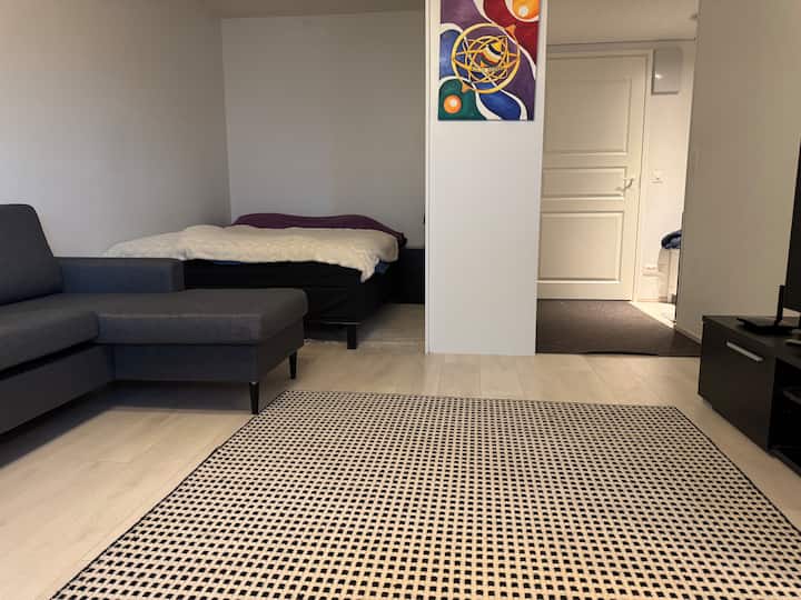 32m2+balcony+wifi - Helsinki