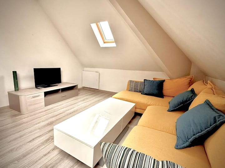 Appartement Lumineux – à Metz Queuleu - Metz