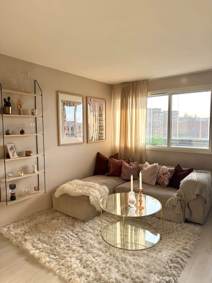 Fin Leilighet På Rosenhoff - Oslo