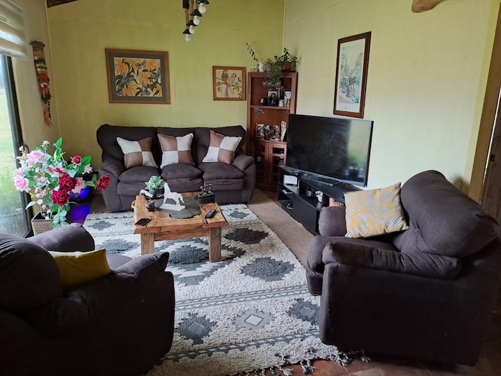 Casa En Parcela De Agrado - Panguipulli