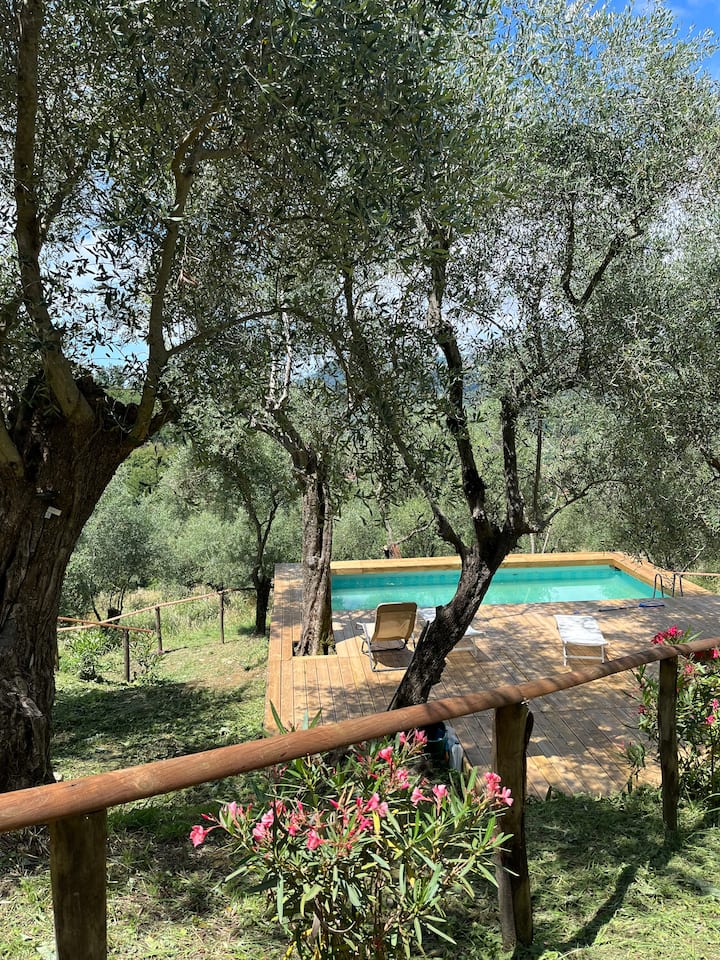 Podere Del Colle - Camaiore