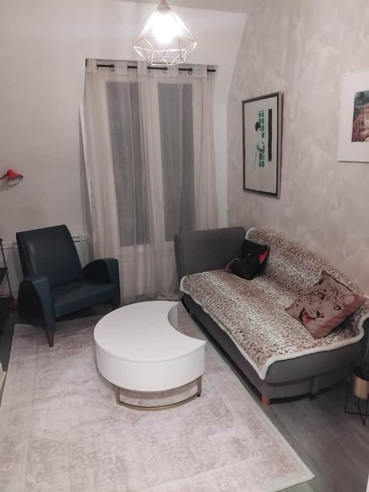 Joli 2 Pièces Cosy In Paris - Paris