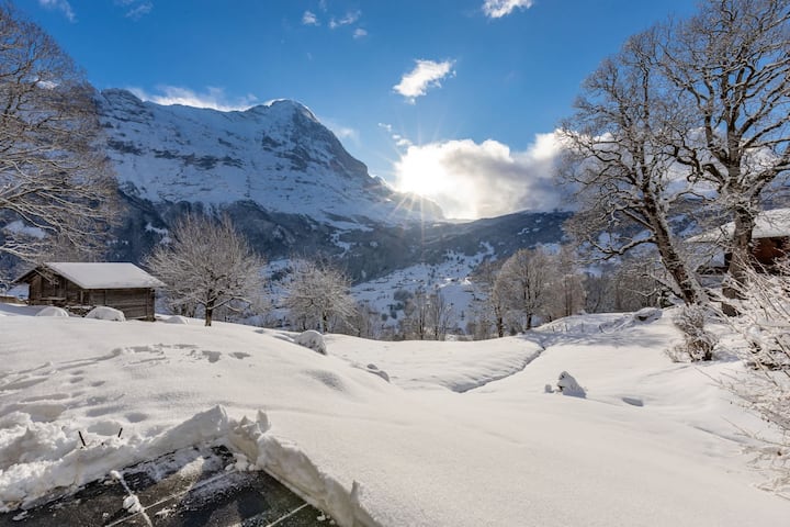 Apron - Grindelwald
