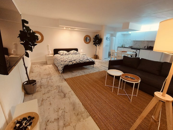 Spacieux Et Beau Studio De 58 M² - ibis Nice Centre Gare