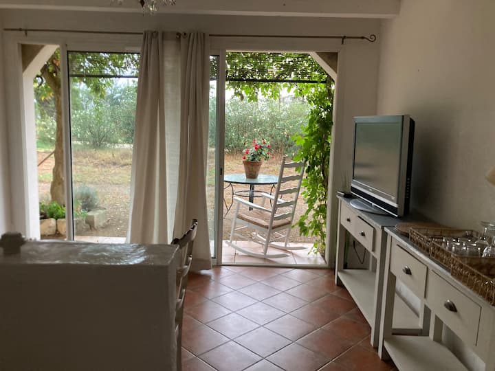 Appartement Dans Mas En Camargue - Saint-Laurent-d'Aigouze