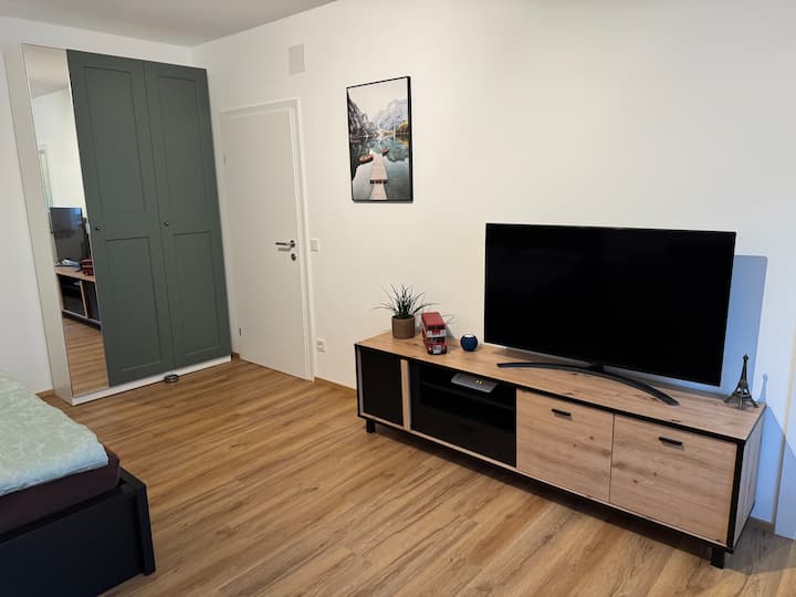 Modern Flat In Linz City Center - Linz