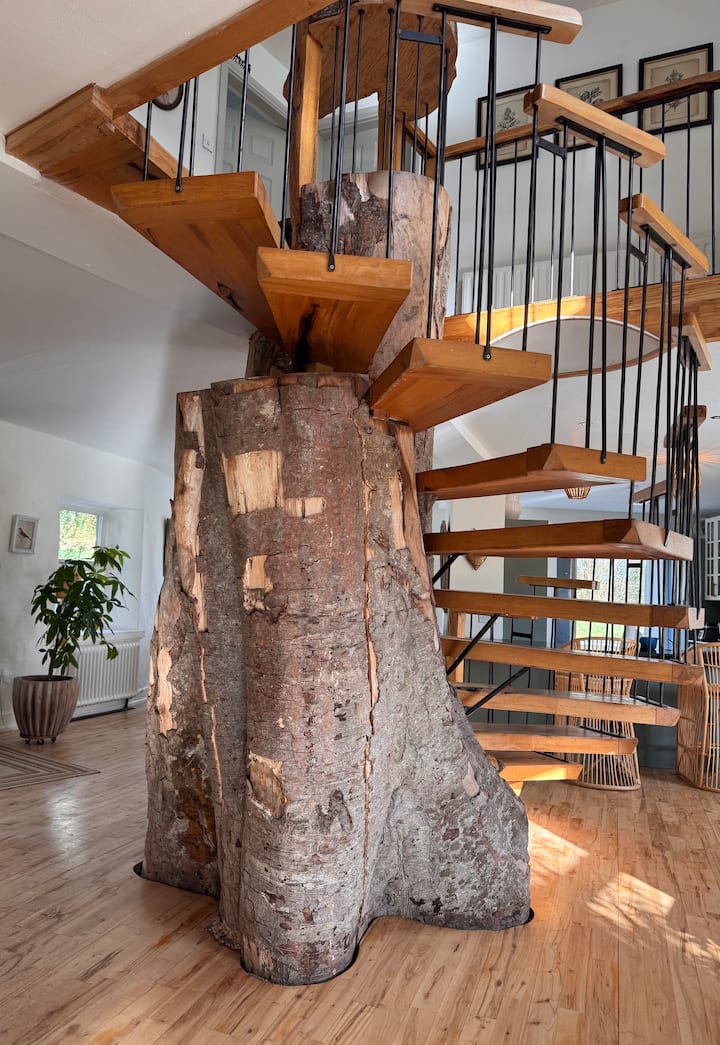 Straw Eco Home For 11 • Tree Staircase • 3 Acres - Fermanagh