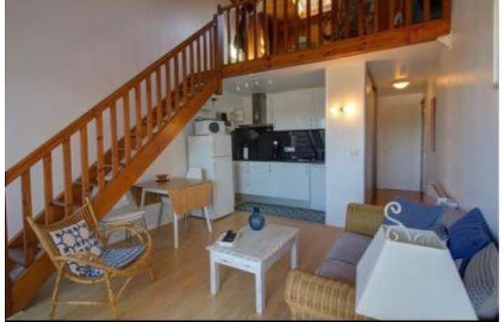 Très Joli Duplex - Saint-Jean-de-Luz