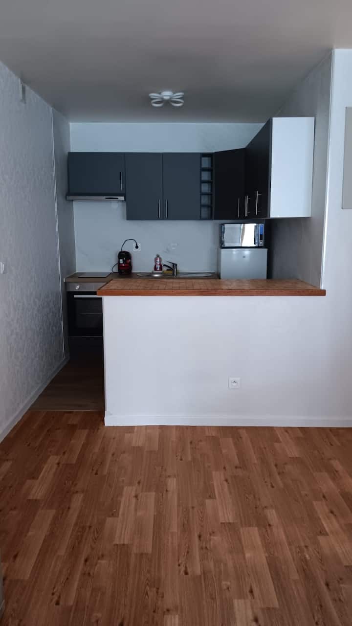Appartement Centre-ville D'évian - Évian-les-Bains