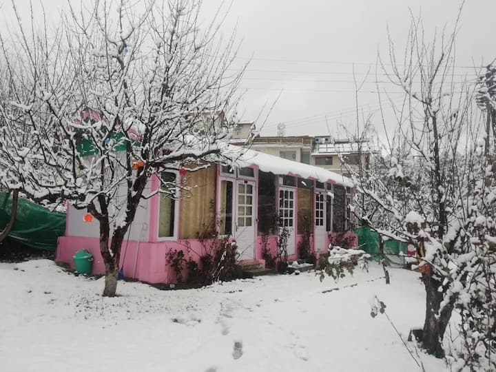 Sairra - Pretty Pink Cabin  2 - Manali