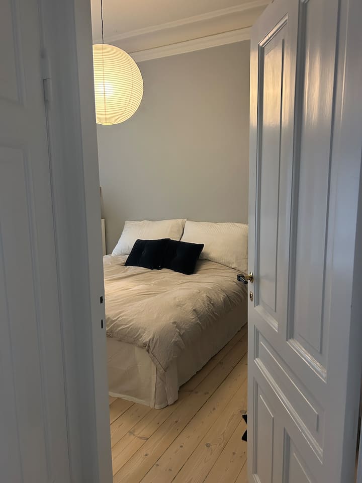 Classic Copenhagen Apartment - Copenaghen