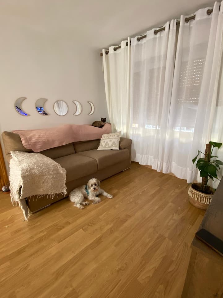 Tranquila Habitación - Albacete